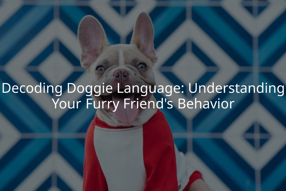 Decoding Doggie Language: Understanding Your Furry Friend's Behavior ...