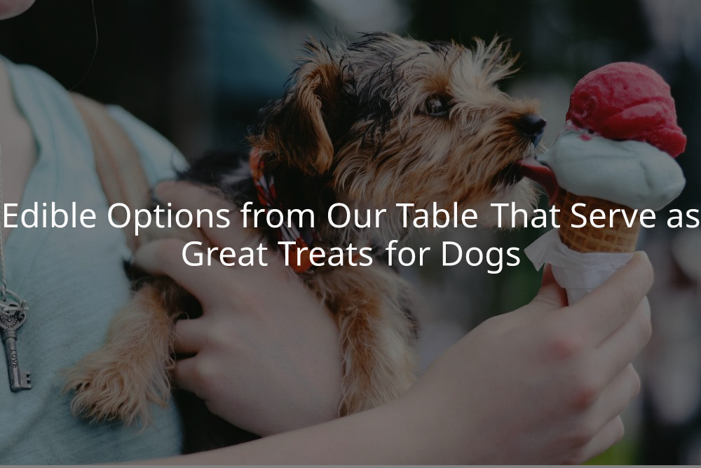 Edible Options from Our Table That Serve as Great Treats for Dogs ...